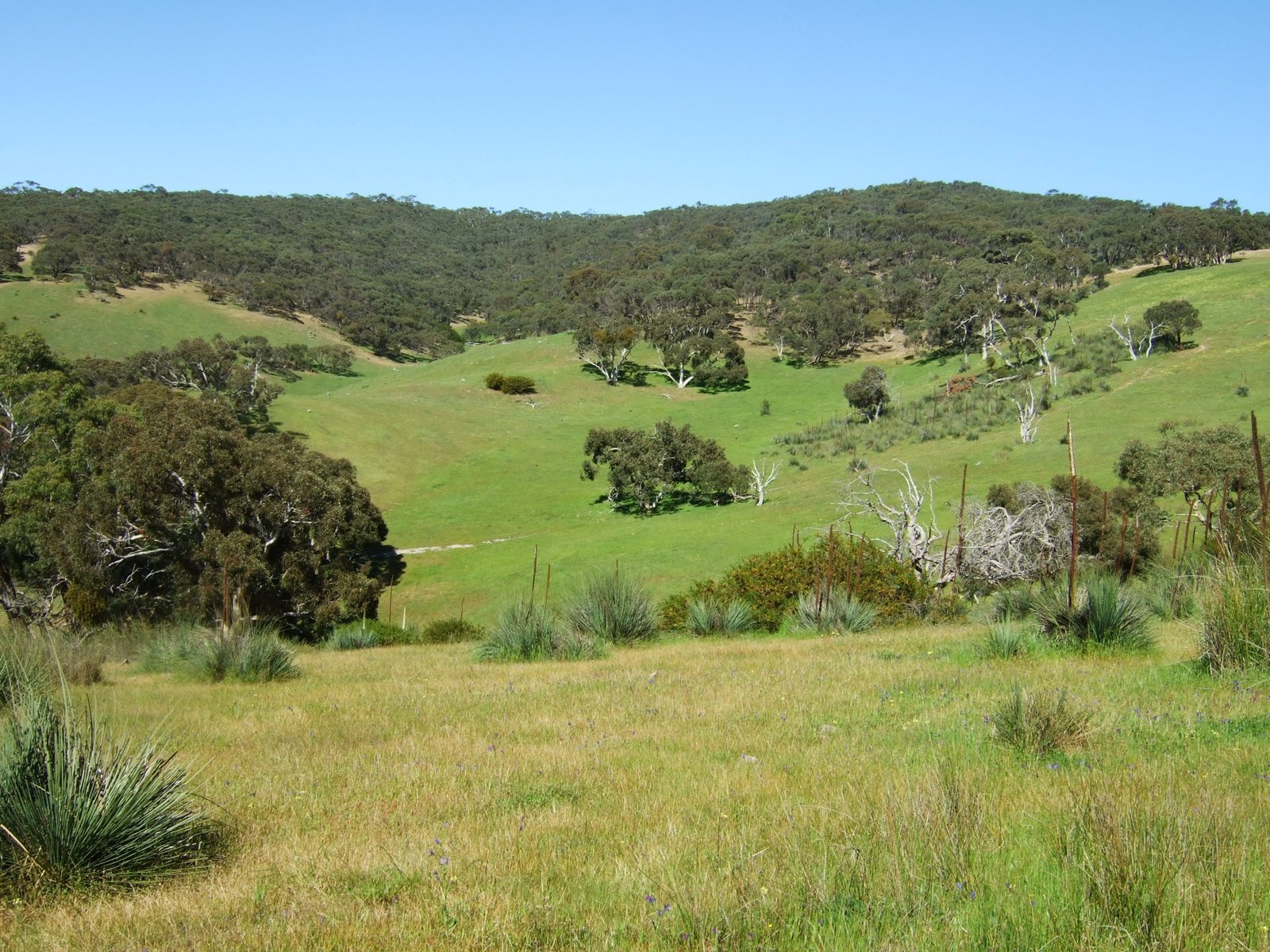 ‘Essentially, All Life (on Earth) Depends upon the Soil ... There can ...