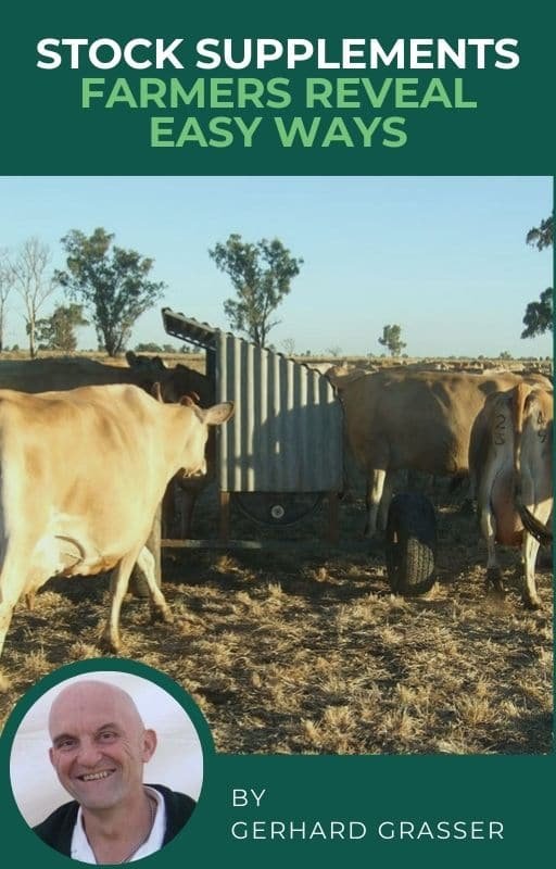 Stock Supplements – Farmers Reveal Easy Ways - Soil Learning Center