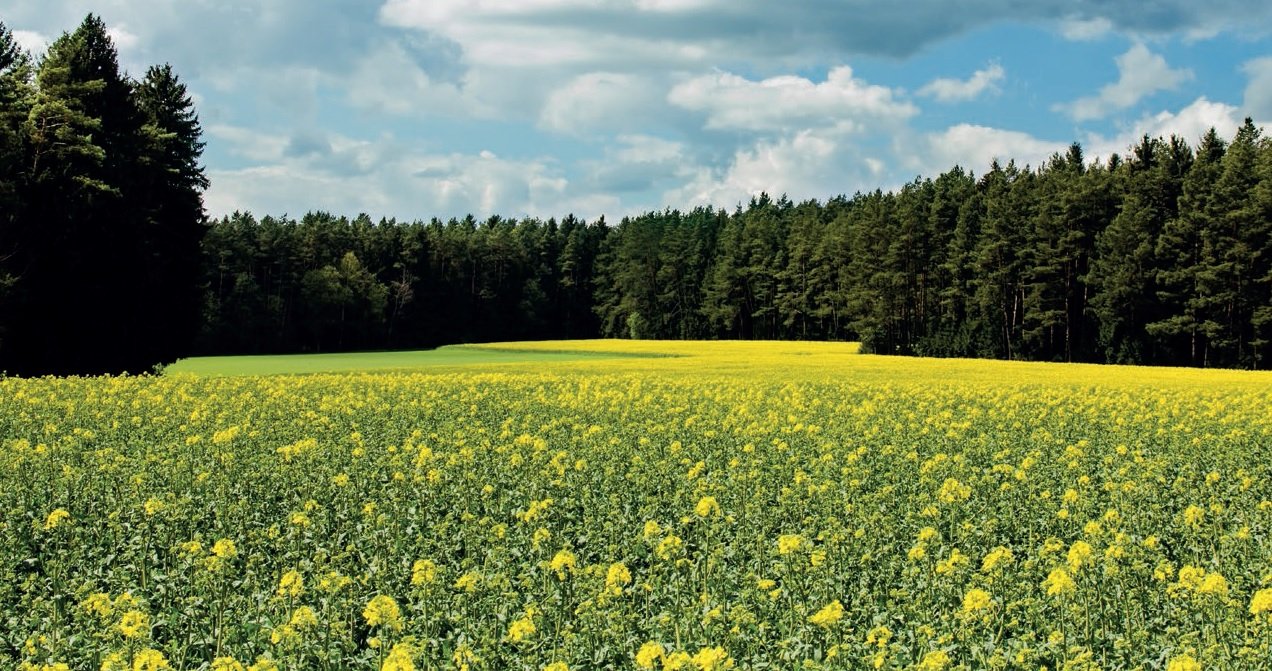 Regulating Services – Atmospheric Composition And Climate Regulation ...