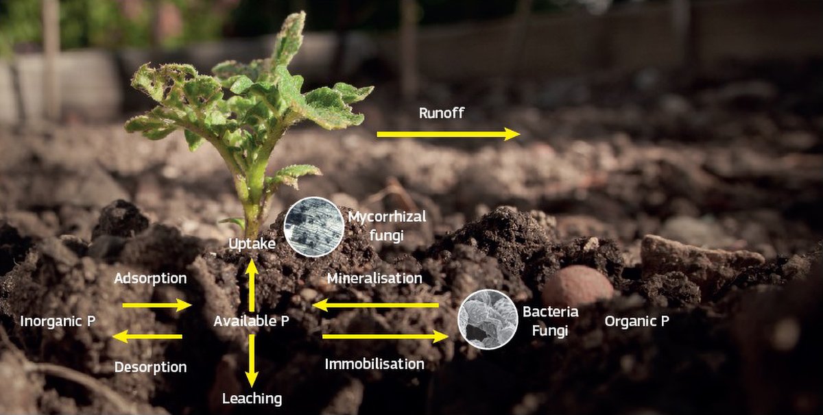 Regulating Services – Atmospheric Composition And Climate Regulation ...