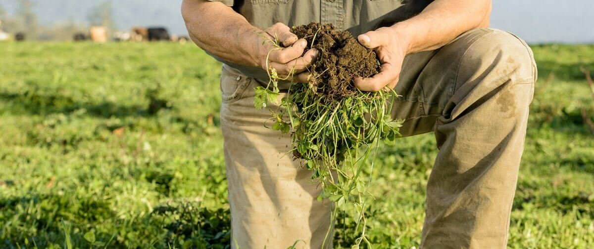 Discover the Power of Soil: Regenerate It Naturally - Soil Learning Center